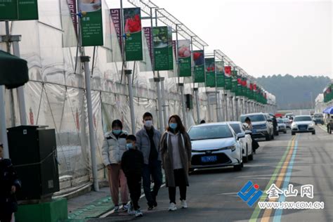 新春走基层小草莓带动大经济春节不打烊 句容草莓采摘旺 中国江苏网