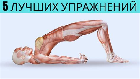 5 Простых Упражнений Для Мужчин Которые Трансформируют Ваше Тело Всего за 4 Недели Youtube