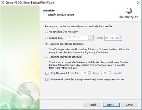 Sql Server Transaction Log Backup Best Practices