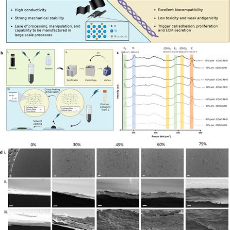 Antimicrobial Evaluation Of Mxenecollagen Type I Biohybrid Films A Download Scientific