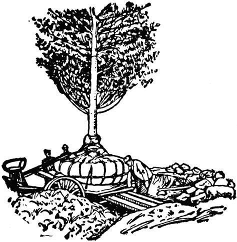 Tree Removal ClipArt ETC