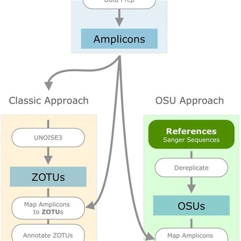 Data Preparation Workflow The Flow Diagram Shows The Bioinformatic