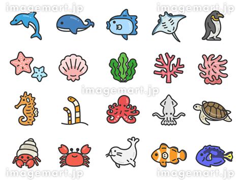 「海藻類」のイラスト素材・ベクター画像 イメージマート Imagemart