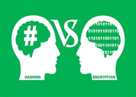 What Is The Difference Between Encryption And Hashing MindStick Q A