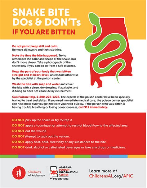 Aboriginal Snake Bite Treatment