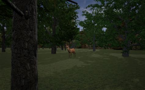 Bu Research Blog Investigating The Effects Of Environment On Prey