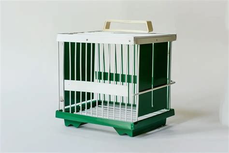 Exploring Rat Cage Essentials A Comprehensive Guide