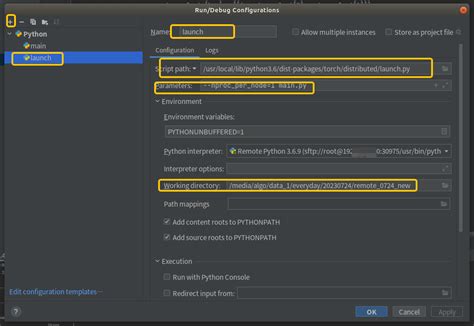pycharm 远程连接服务器并且debug 支持torch distributed launch debug 无左无右 博客园