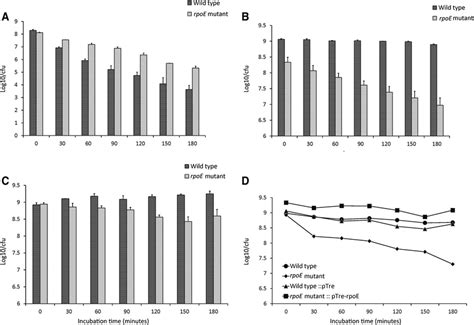 Evaluation Of The Effect Of Chx On The Wild Type Escherichia Coli O157 Download Scientific
