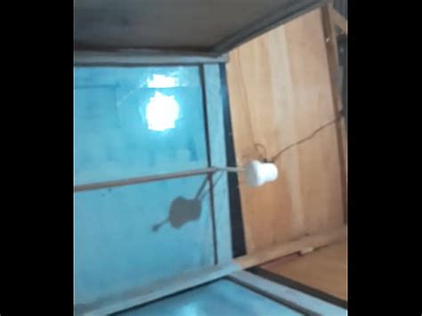 Quase Pegor No Flagra Quest O De Segundos Xvideos Com