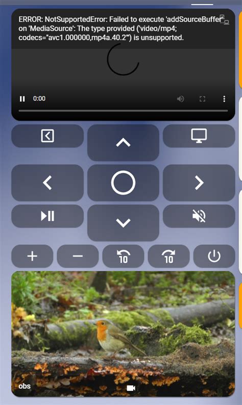 I Have Image But No Sound Issue Alexxit Webrtc Github