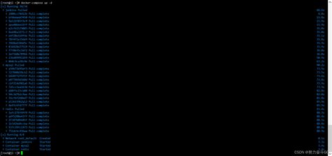 超详细实战dockerjenkins部署生产环境前后分离项目jenkins和docker Csdn博客
