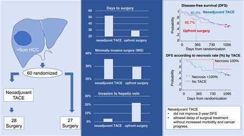 Exploratory Prospective Randomized Phase Ii Study Of Neoadjuvant Transcatheter Arterial