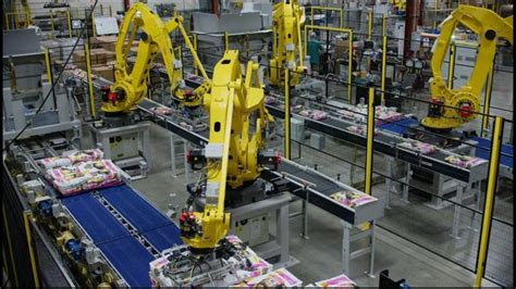 Configurable Robotic Palletizer Highlight Pearson Packaging Systems