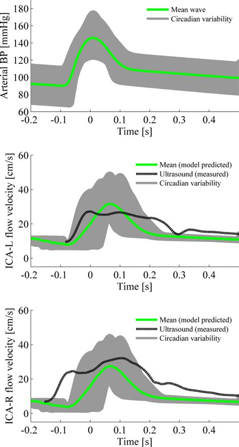 Model Predicted Mean Waveforms And Circadian Variability For Co First