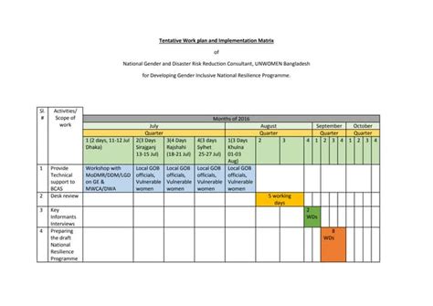 Gender And Ddr Work Plan And Implementation Matrix Ppt