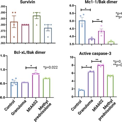 The Protein Levels Of Pro‐apoptotic Active Caspase‐3 And Download Scientific Diagram