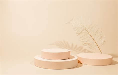 제품 프리젠 테이션 이나 전시회에 대 한 기하학적 연단 또는 받침대와 추상적인 배경 파스텔 배경에 빈 실린더 연단과 건조 식물