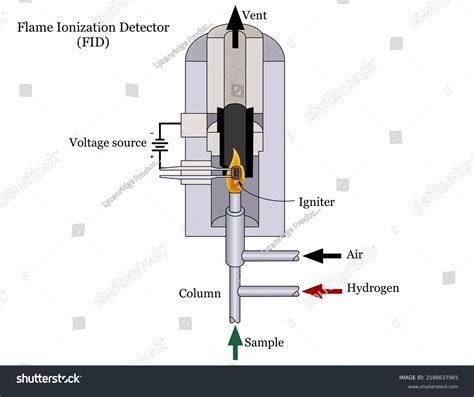 Labeled Illustration Flame Ionization Detector Fid Stock Illustration