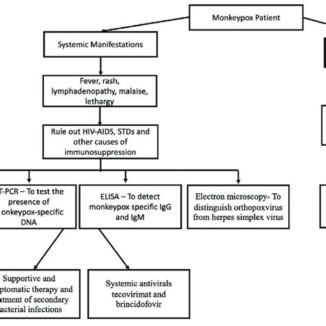 A Detailed Diagnostic Flowchart Is Depicted In The Figure To Facilitate