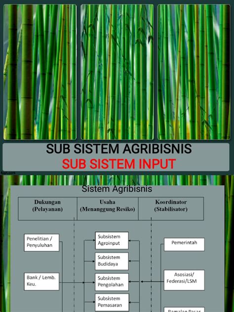 Subsistem Input Pdf
