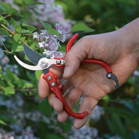 Small Easy Grip Bypass Pruner
