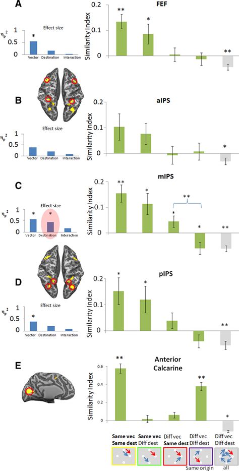 Similarities Of Spatial Patterns Of Responses In Fef A Three Download Scientific Diagram
