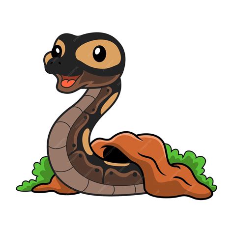 Premium Vector Cute Ghi Mojave Ball Python Cartoon Out From Hole