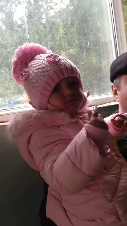 маленькая девочка кормит жирафа Youtube