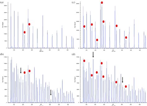 Detection Of Aberrant Methylation Patterns In Aml Cell Lines By Mlpa Download Scientific