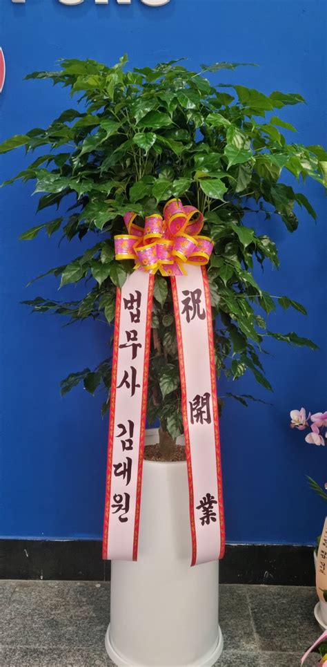 녹보수 꽃비 파트너스