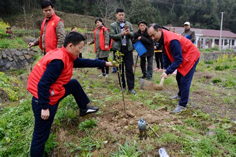 市委老干部局开展义务植树学雷锋志愿服务活动工作动态综合动态中共常德市委老干部局