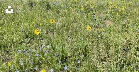 나무와 산을 배경으로 한 풀밭 사진 Unsplash의 무료 건물 이미지