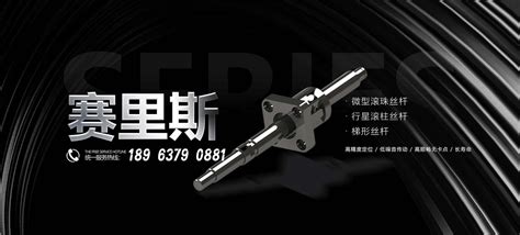 公司简介 专注微型滚珠丝杆，梯形 T型丝杆，行星滚柱丝杆—合肥赛里斯智能传动系统有限公司