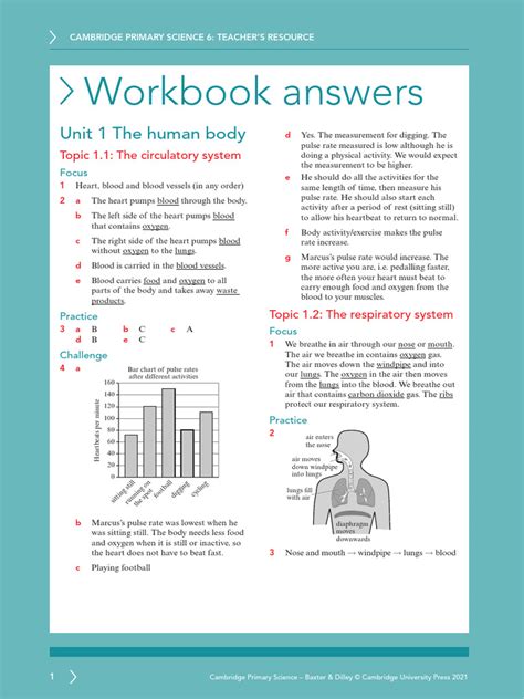 P Science 6 Workbook Answers Pdf Rock Geology Igneous Rock