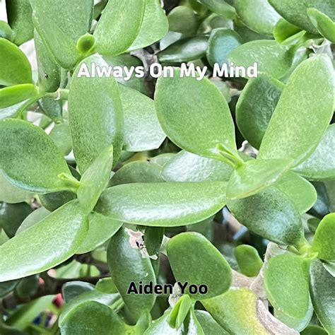 Windows 95 Startup Sound Youtube Music