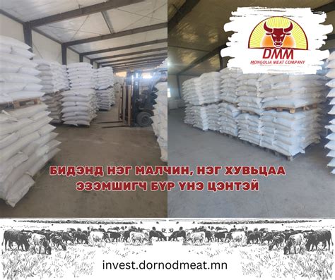 Хувьцаат Компани ХК болон Хязгаарлагдмал Хариуцлагатай Компани ХХК хоорондын ялгаа