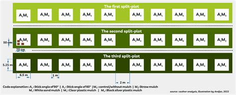 Field Experimental Setup Using Randomized Block Design Download