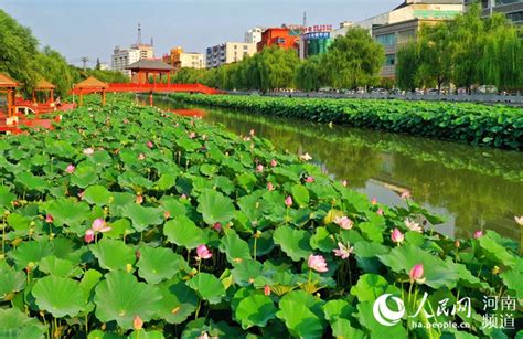 聚焦许昌高质量发展 河南频道 人民网 网上的人民日报