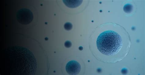 Contact Rna Institute Unsw Sydney