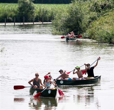 Gelukkig Hebben De Voorntjes In De Korne De Kapotte Stuw Overleefd Foto Gelderlander Nl