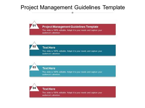 Project Management Guidelines Template Ppt Powerpoint Presentation Portfolio Objects Cpb