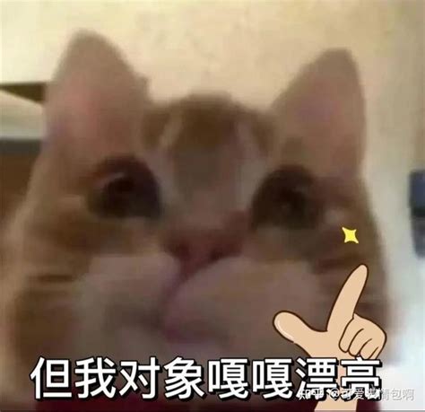 近期热门表情包 知乎
