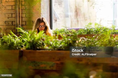 Netbook 귀여운 여자 성공적인 프리랜서 커피숍에 앉아있는 동안 랩톱 컴퓨터를 사용 하 여 작업 하는 젊은 여자 학생 금융에 대한 스톡 사진 및 기타 이미지 Istock