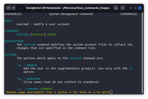 50 Essential Linux Commands You Should Know Beebom