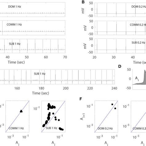 numerical simulation of the model for dominant like case dom agmax