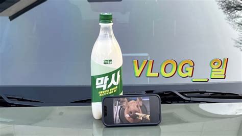 Vlog 캐스퍼 브이로그 신차 출고 차량용품 고사 Youtube