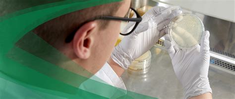 Microbial Cell Line Development ‣ Artes Biotechnology