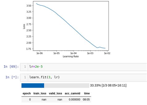 Segmentation Nan Loss Debugging Advanced Part 1 V3 Fastai Course Forums