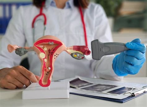 Premium Photo Doctor Demonstrates Ultrasound Examination Of Female Reproductive System